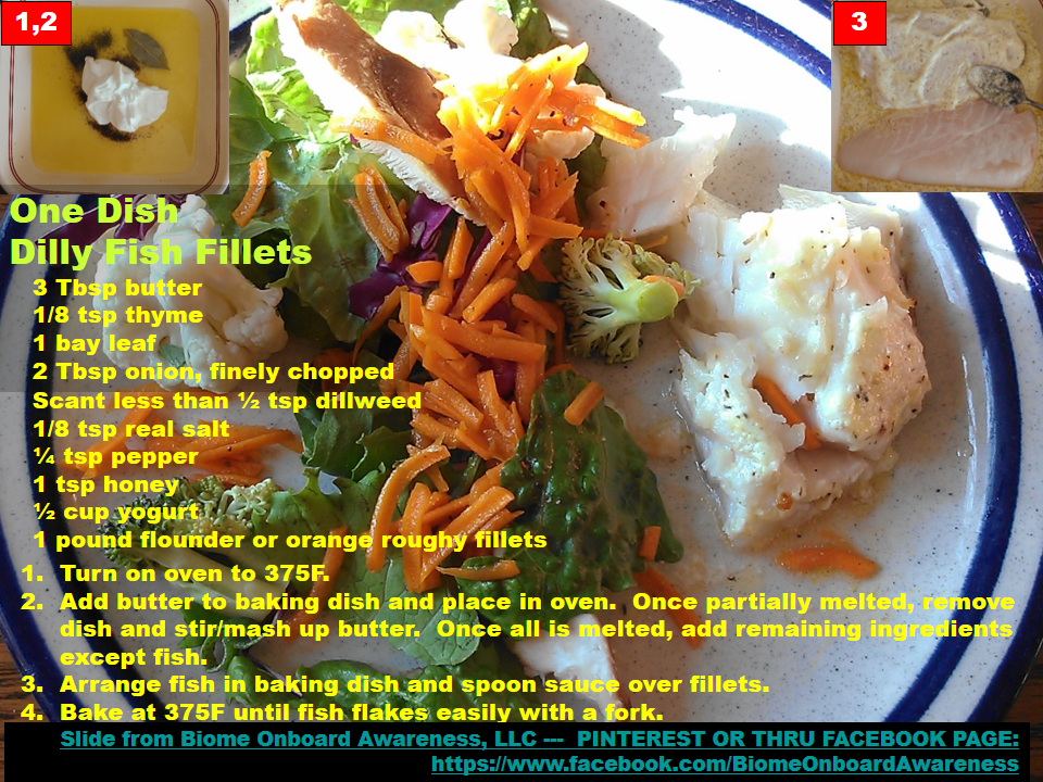 A FEW INDEX CARD RECIPES FOR WHOLE FOODS » BIOME ONBOARD AWARENESS: THE ...