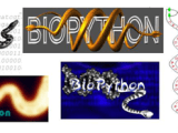 Logo Biopython