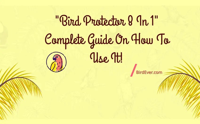 Bird Protector 8 In 1 How To Use It Properly in Best Way?