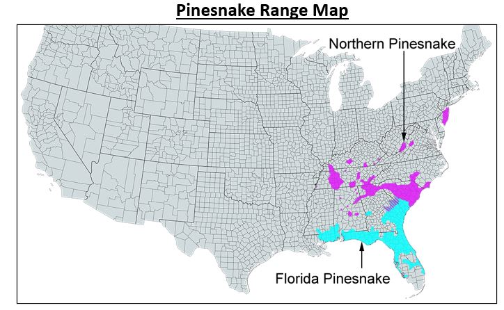 pinesnake range map - Bird Watching HQ
