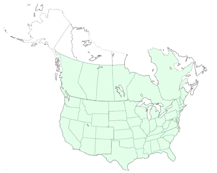 7 Types of Ticks Found In Oregon! (ID GUIDE) - Bird Watching HQ