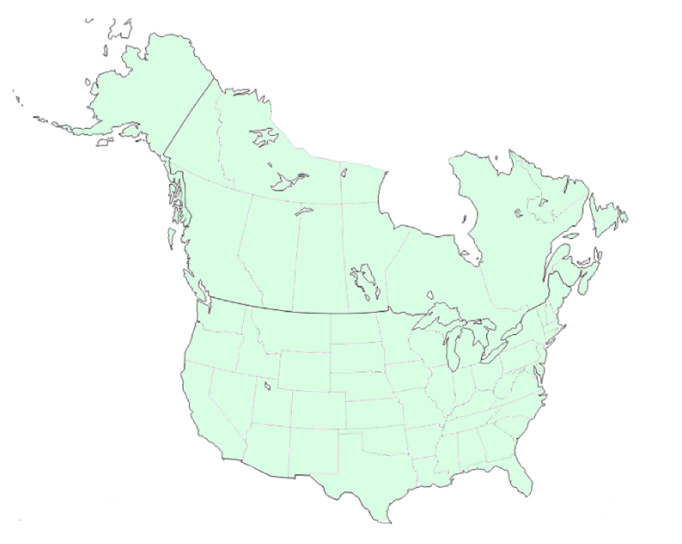 11 Types of Ladybugs Found In Idaho! (ID GUIDE) - Bird Watching HQ