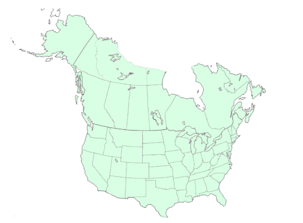 5 Types of Cockroaches Found In Ohio! (ID GUIDE) - Bird Watching HQ