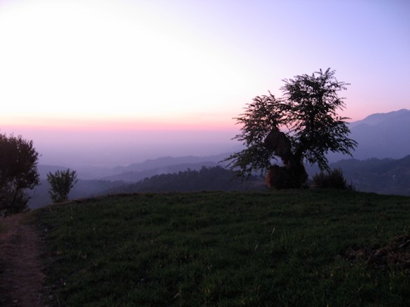 Bir Photo Gallery | The Bir Portal