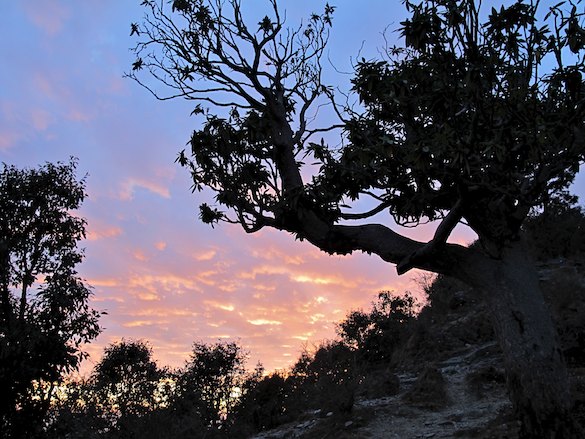 Bir Photo Gallery | The Bir Portal