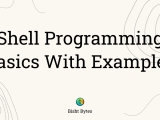 Shell Programming Basics With Examples