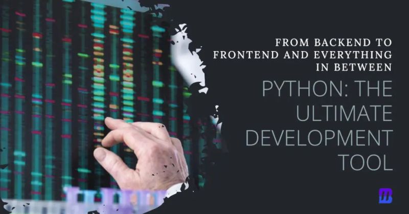 Python Programming Key Roles Salaries Future Trends - Gorgeous Gradient Wallpaper - 4K