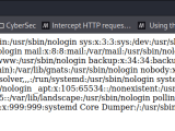 Unicode Writeup Bitisgabonica