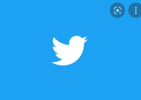 Twitter動画保存しまっせ!twi-dougaで動画をダウンロードする方法 | 漫画Rawとオンラインカジノ