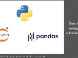 Data Analysis Using Python A Quick Exercise Bittenbook