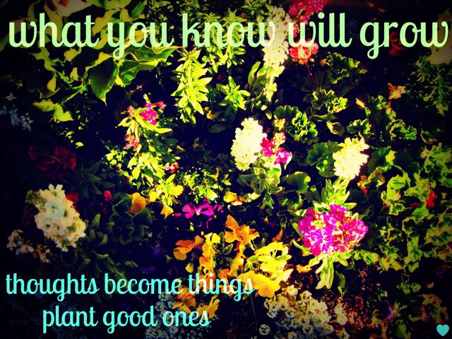 Breathing Room :: Know To Grow - Blair Shackle