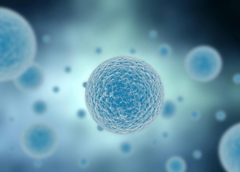 Meditation: selfless cells | Blazing Light, Love's Song