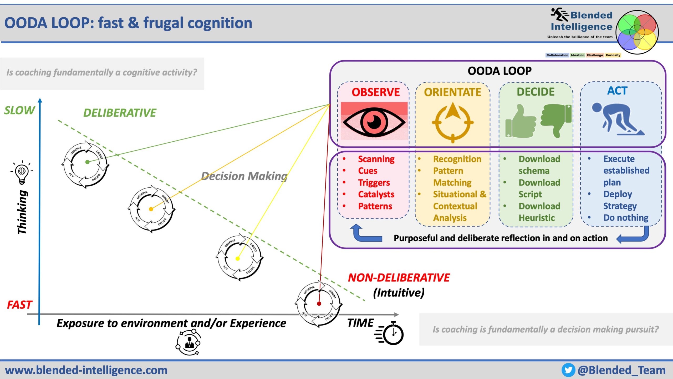 Coaching Expertise – Blended Intelligence