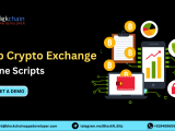 Top 10 Crypto Exchange Clone Scripts Cryptocurrency Exchange Clone Script