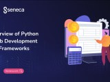 Overview Of Python Web Development Frameworks