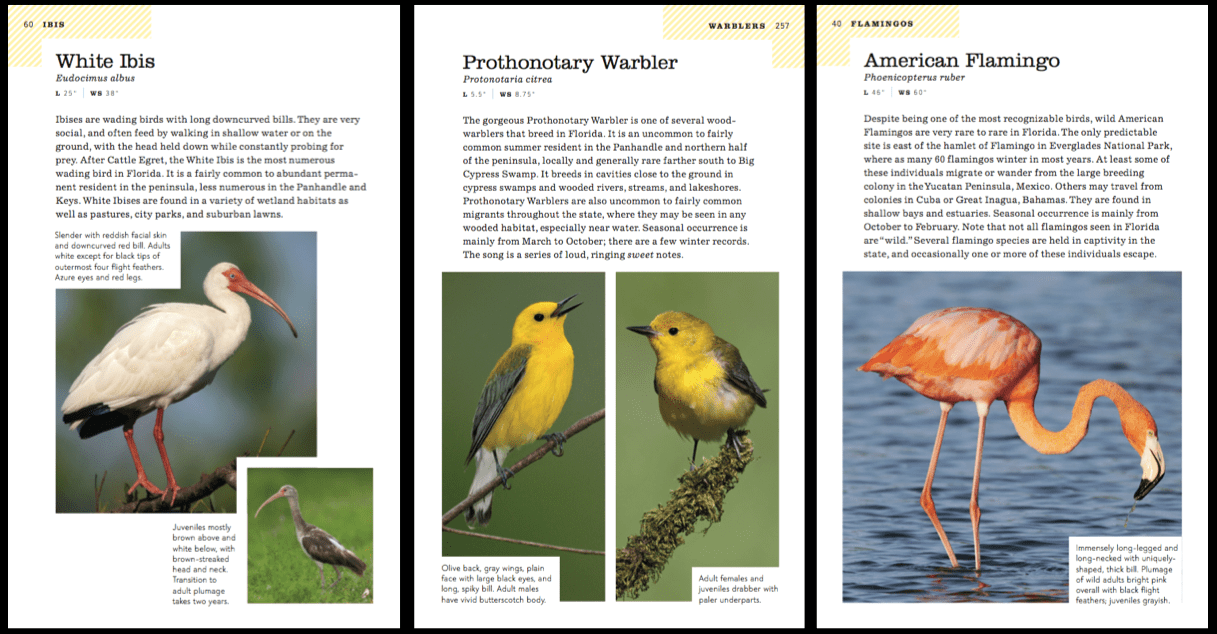 Introducing the ABA State Guides « ABA Blog