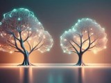 6 Best Simple Spanning Tree Algorithm Tutorials Algorithm Examples