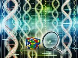 8 Best Genetic Algorithm Optimization Techniques Decoded Algorithm