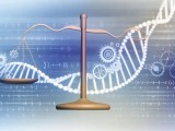 Why Are Genetic Algorithm Optimization Techniques Effective Blog