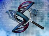 Why Optimize With Algorithm Applications In Genetics Algorithm Examples
