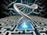 Why Optimize With Algorithm Applications In Genetics Algorithm Examples