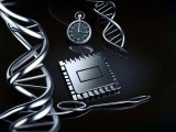 8 Best Approaches For Efficient Genetic Programming Implementation