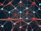 Exploring Spanning Tree Algorithm Uses In Computer Science Blog