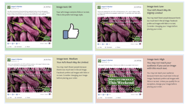 Apps Without Code Blog – Hey- I'm Tara Reed. I'm a non-technical ...
