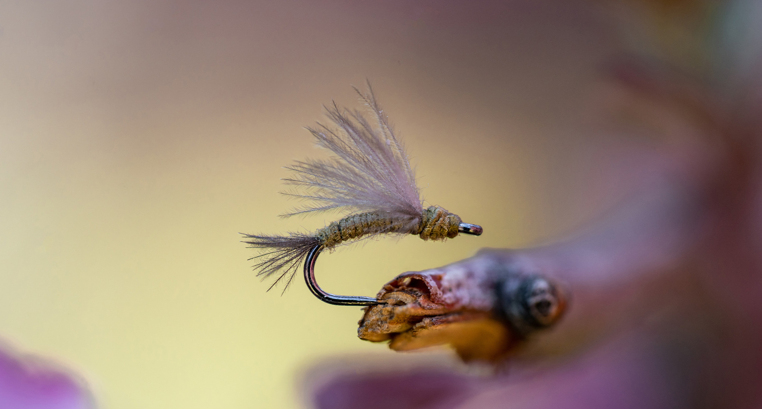 How to tie the CDC BWO Emerger – AvidMax Blog