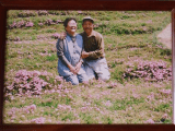 Fine Flowers Blog By Bbrooks Blog Archive Devoted Love