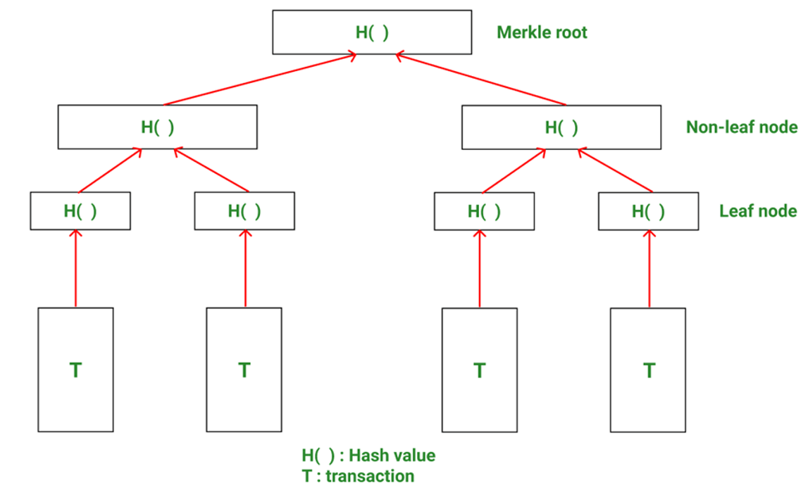 Merkle Tree (Hash Tree) and How it is Related to Cryptocurrencies – BingX Blog