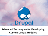 Advanced Techniques For Custom Drupal Modules Development