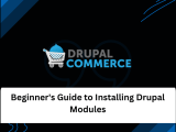 Step By Step Guide To Installing Drupal Modules