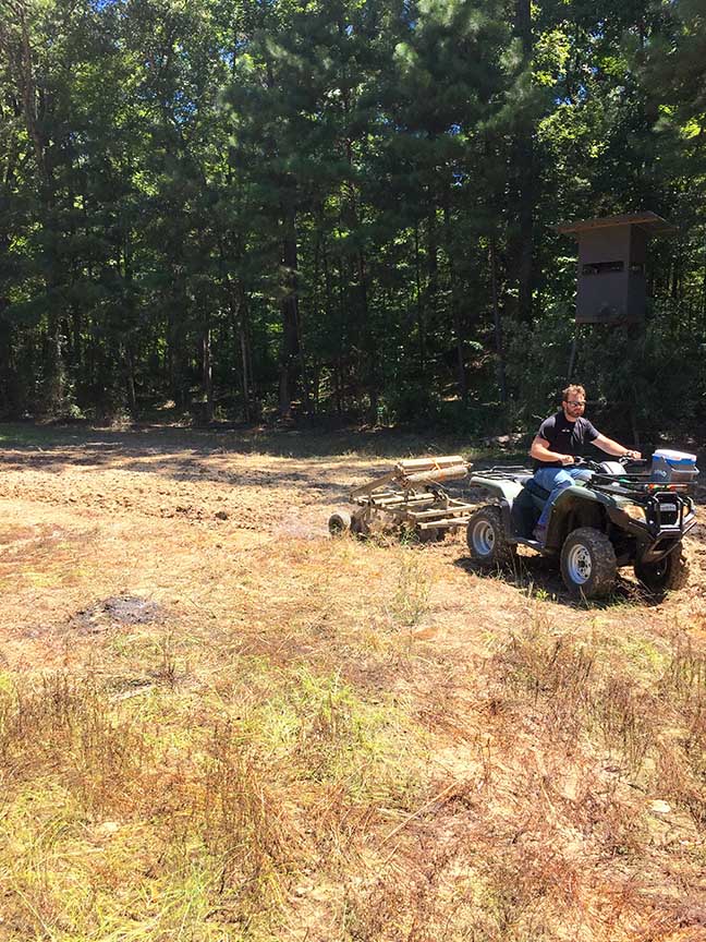 Planning your first wildlife food plot? Steps for food plot success ...