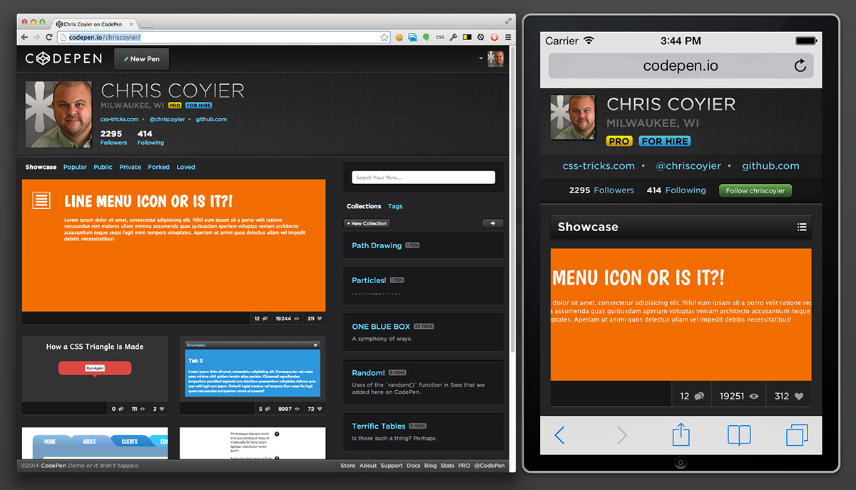 Profiles 20 Organize Your Showcase And Customize With Css Codepen Blog 2144
