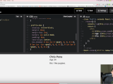 Three Dev Tutorial Videos With Codepen Codepen