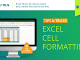Easyxls Blog Archive Export Data To Excel With Cell Formatting In