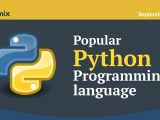 An Infographic On Popular Python Programming Language