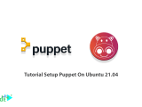 Tutorial Setup Puppet On Ubuntu 21 04 20 04 Eldernode Blog
