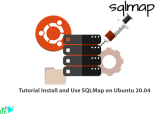 How To Install Sqlmap On Ubuntu 20 04 Lts Run Sqlmap