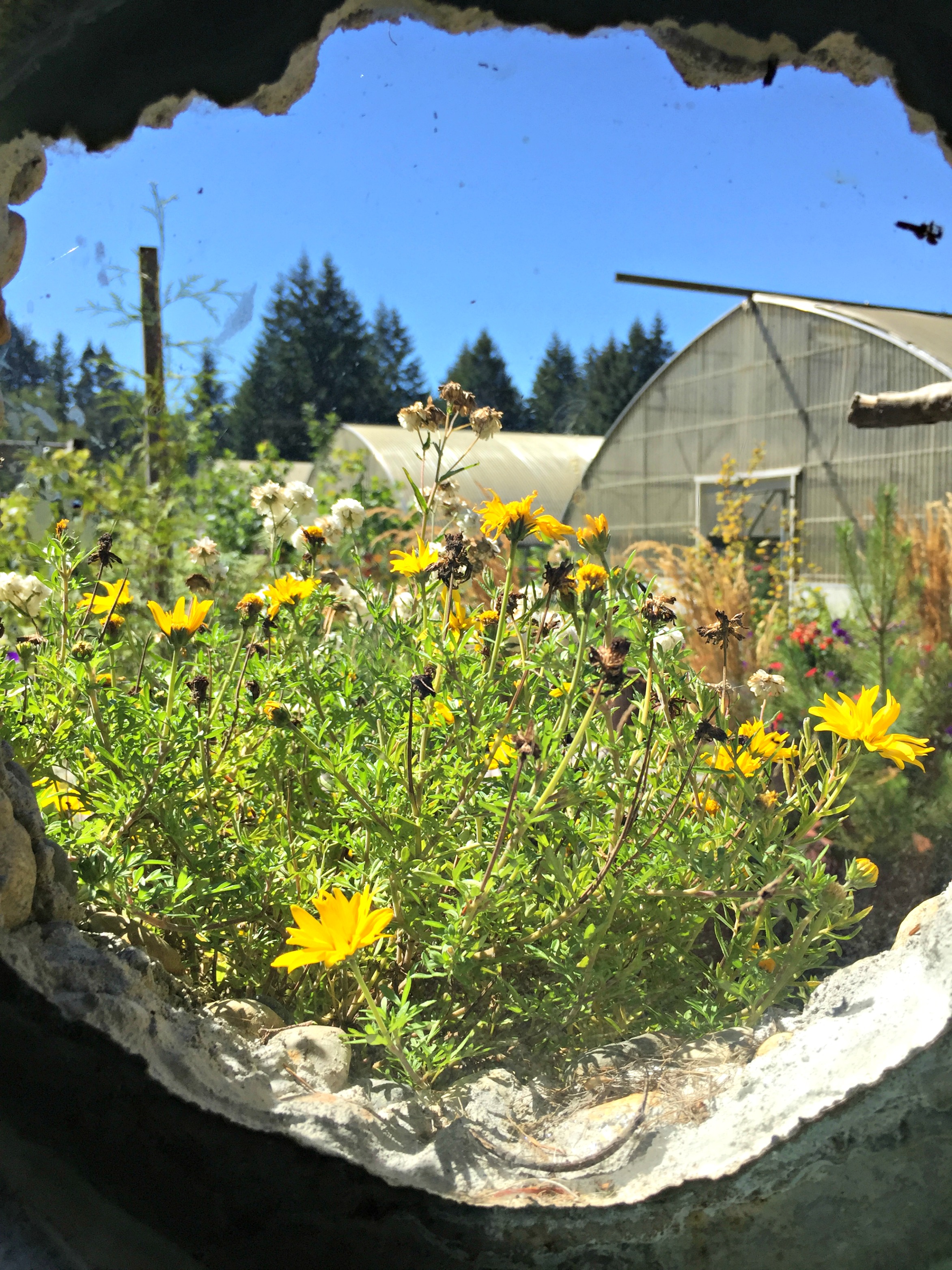 The Hobbit Hole and Year 7 | Get Going