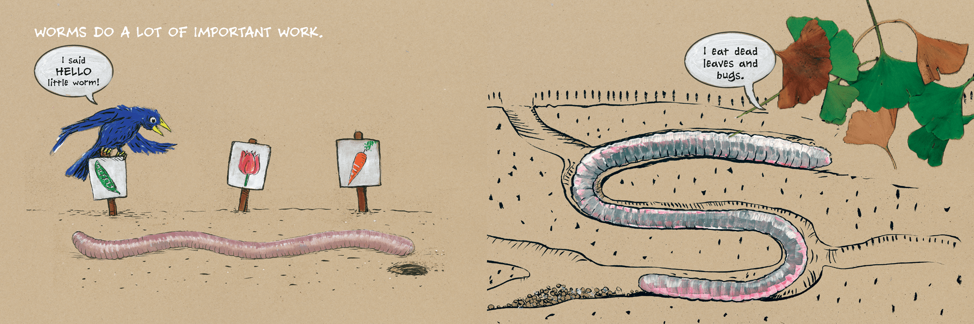earthworm science for kids – Growing With Science Blog