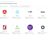 Hackerrank Projects Interview Professional Hires With Real World