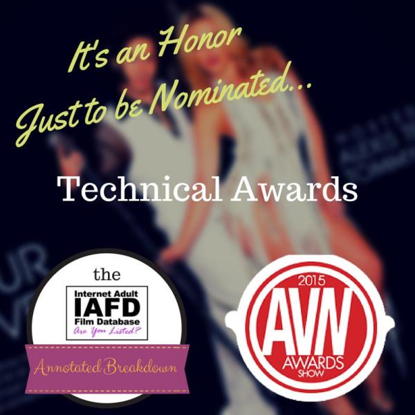 Avn Awards Nominations 2015 Technical Nominations