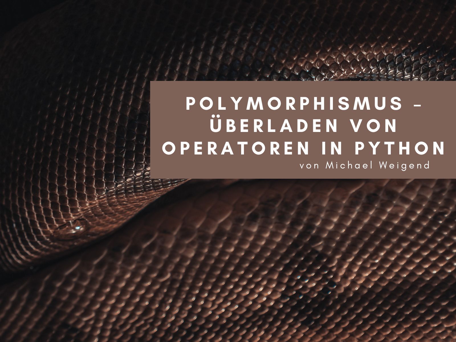 Polymorphismus – überladen von Operatoren in Python • mitp blog