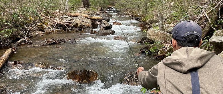 Fly Casting Techniques for Small Streams