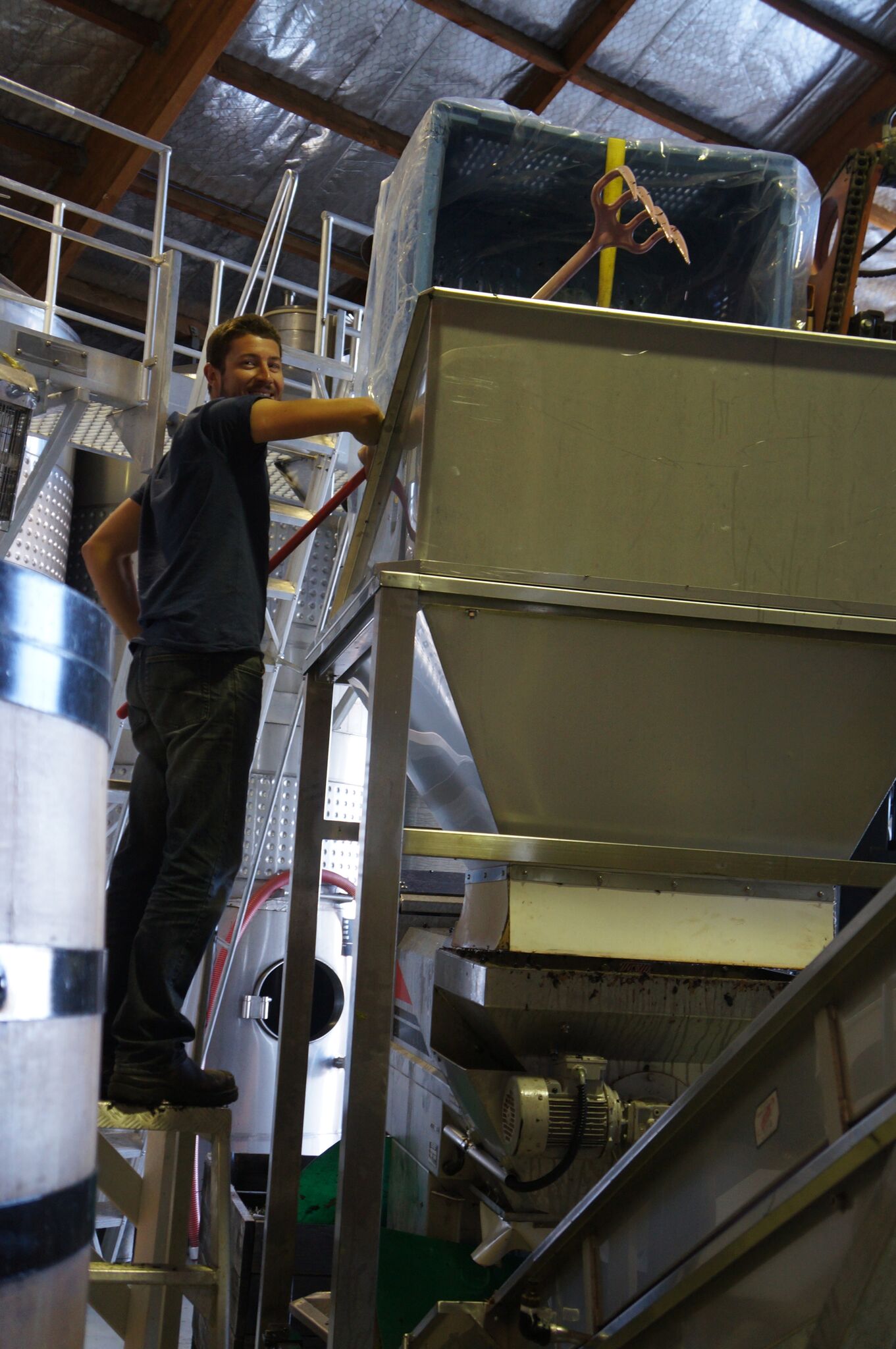 Altschwager & Kenneally: Four heads are better than one - Naked Wines ...