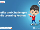 Benefits And Challenges While Learning Python Newtum