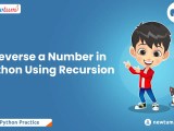 Reverse A Number In Python Using Recursion Newtum