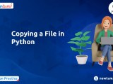 Copying A File In Python Newtum